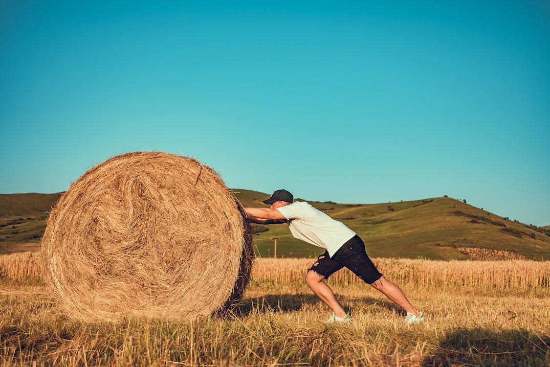 Alberta Association of Agricultural Societies